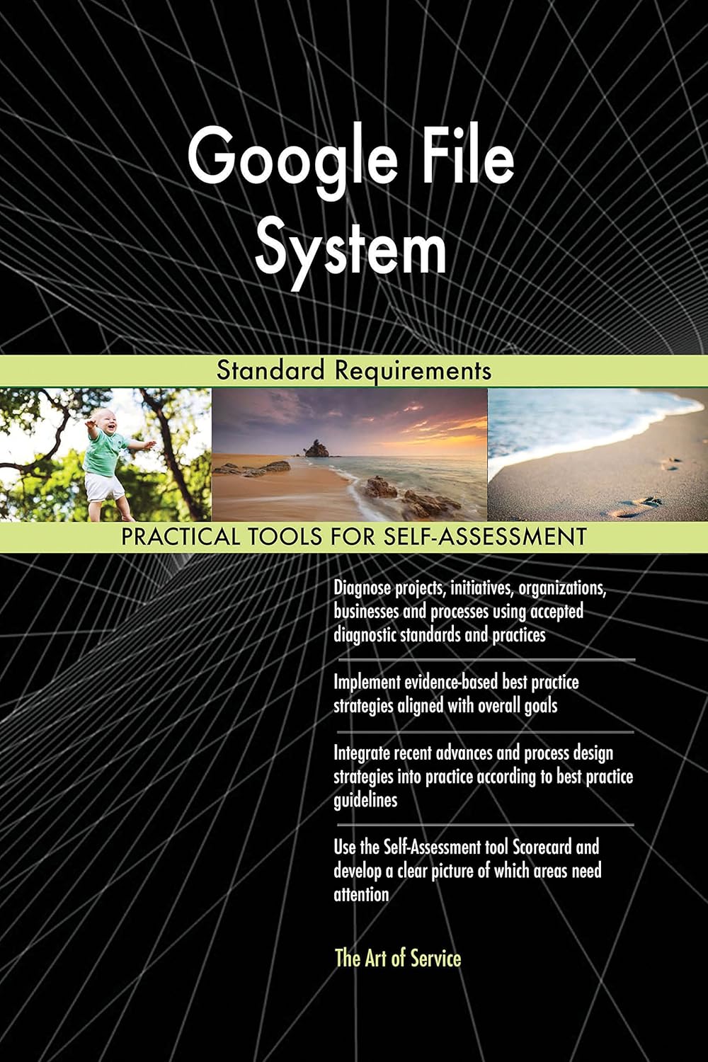 Amazon.com: Google File System Standard Requirements eBook : Blokdyk ...