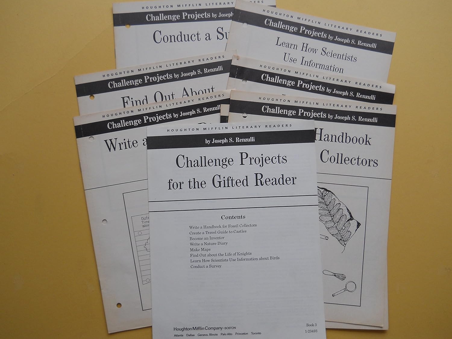 Challenge Projects for the Gifted Reader: Book 3: Joseph S. Renzulli ...