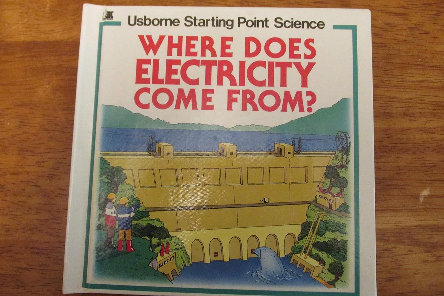 Where Does Electricity Come From?: Mayes, Susan: 9780881103809: Amazon ...