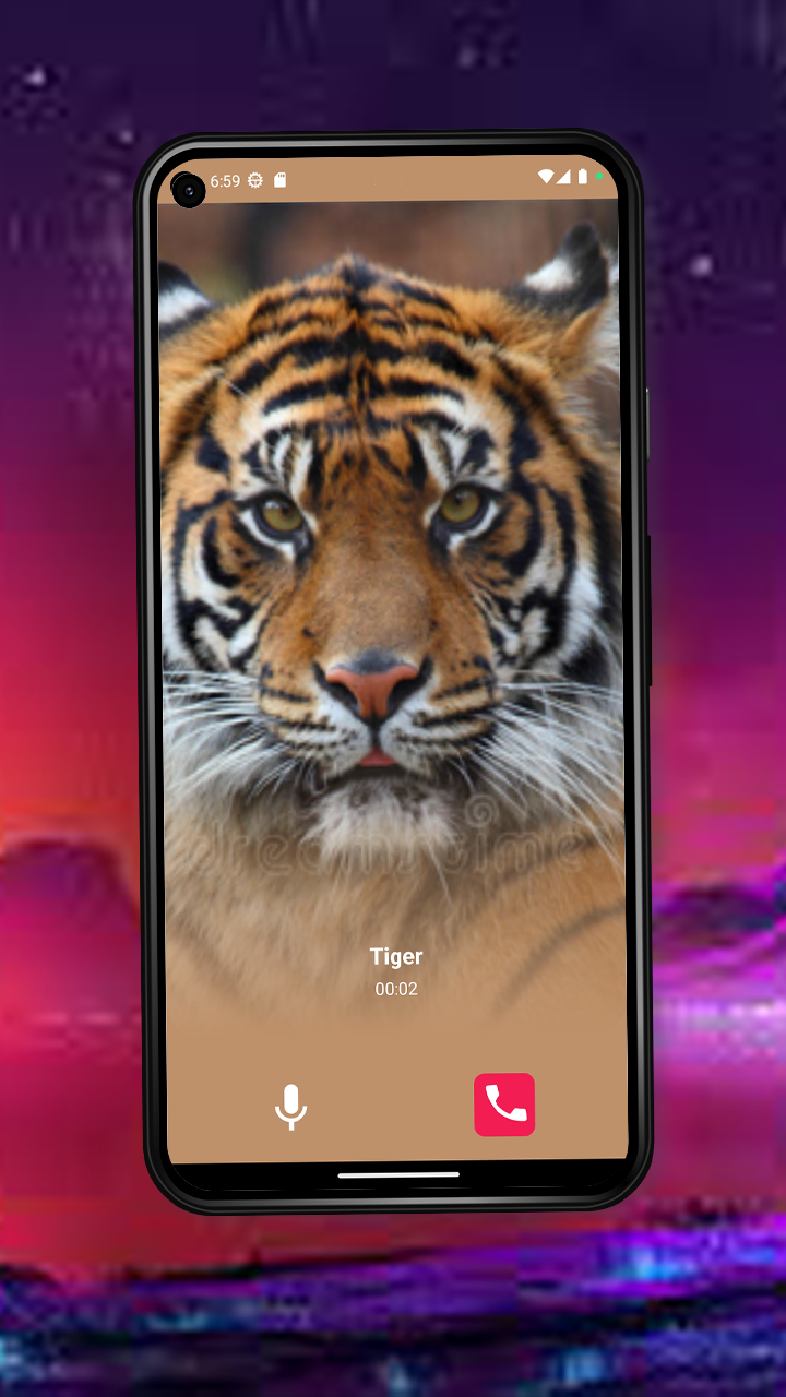 Incoming Video Call From Tiger Fake Video Voice Call & Texting ...