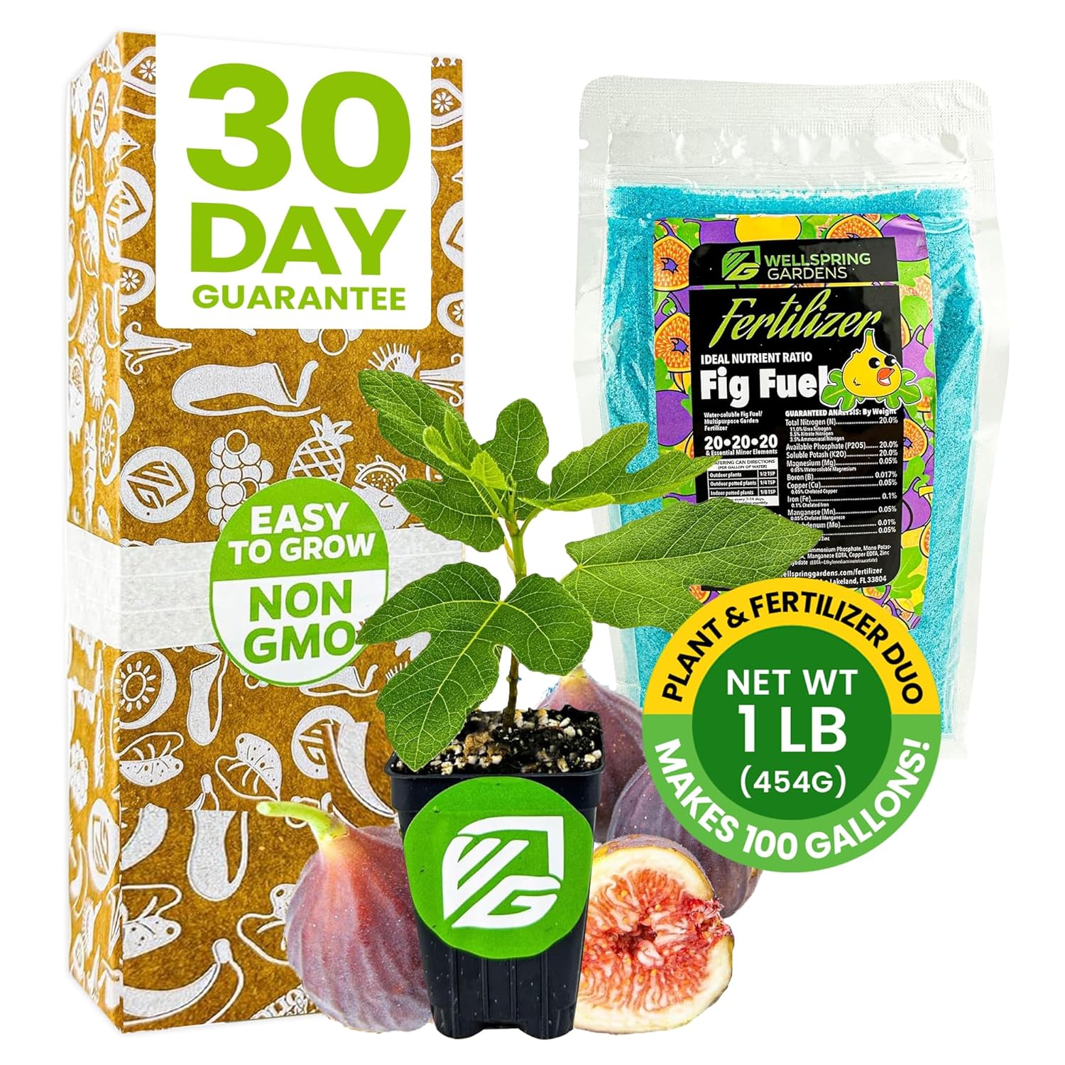 Amazon.com : Fig Tree & Fertilizer Bundle -Chicago Hardy Fig Tree ...