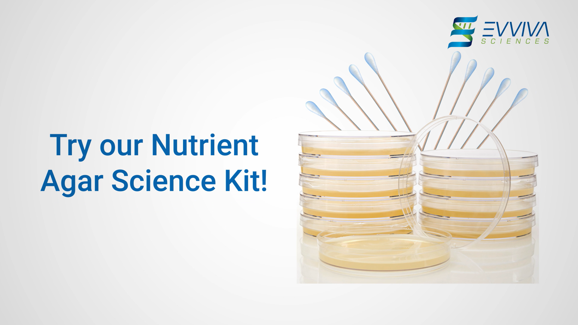 Watch Nutrient Agar Science Project Kit on Amazon Live
