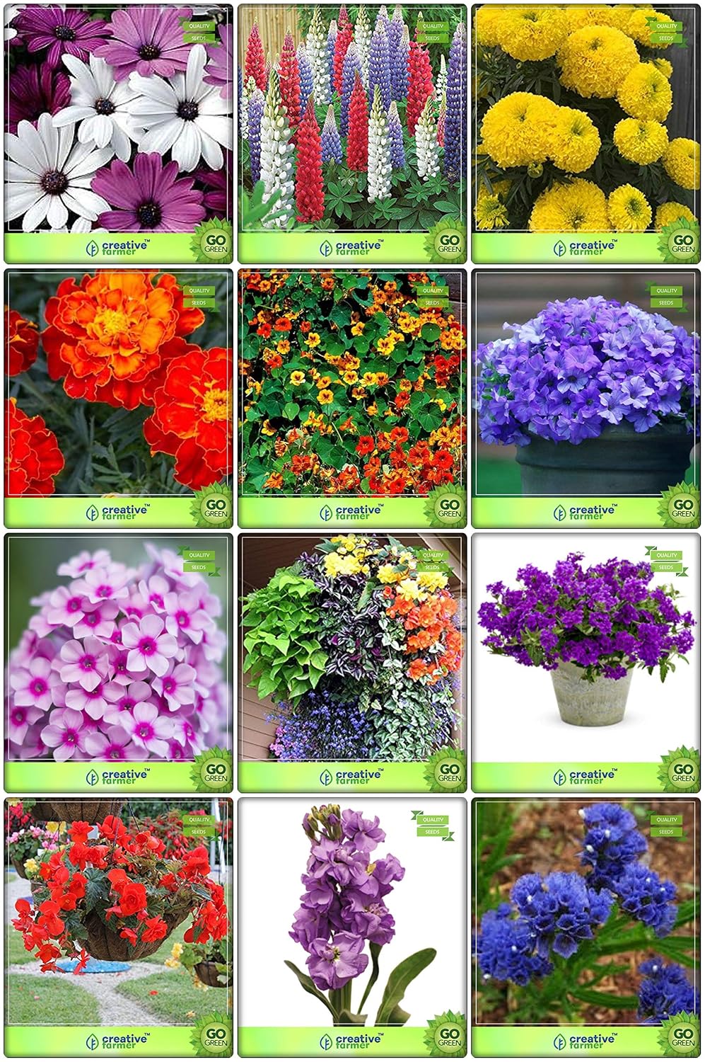 Creative Farmer Seeds India Combo Flower Seeds : Lupin-Pixie, Marigold ...