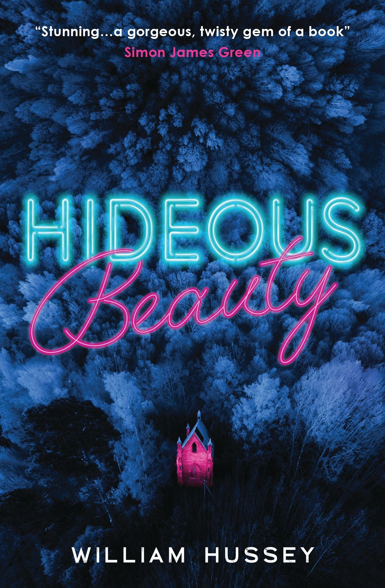 Hideous Beauty : William Hussey: Amazon.co.uk: Books