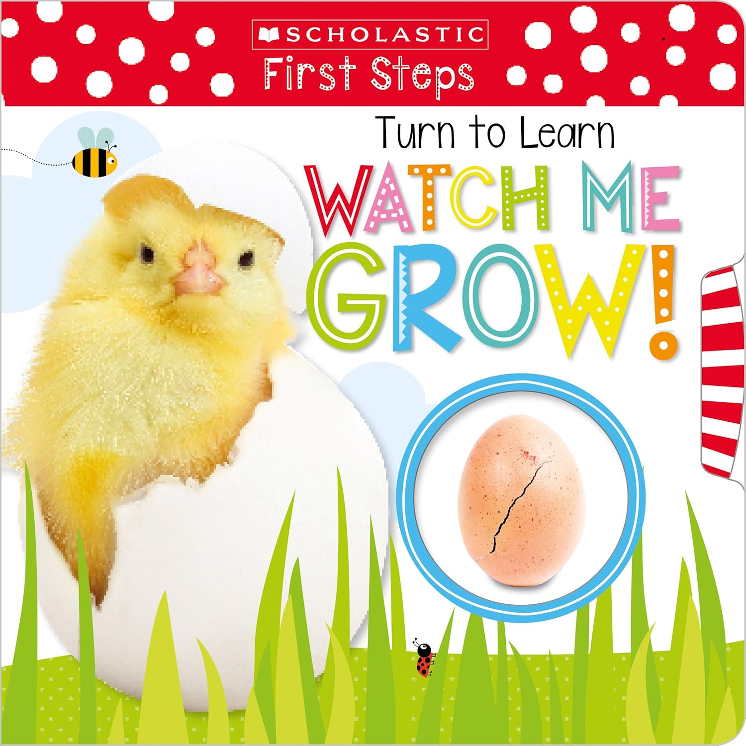 Turn to Learn Watch Me Grow!: A Book of Life Cycles: Scholastic Early ...