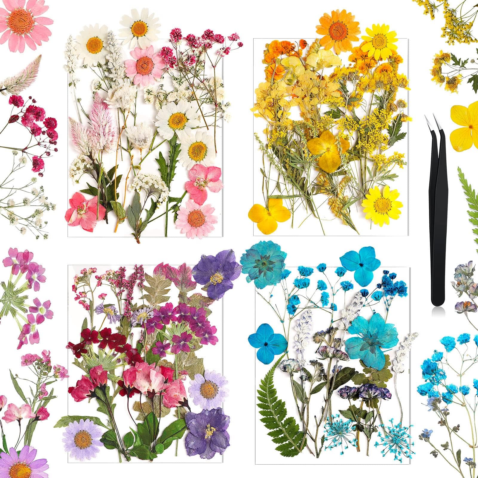 Amazon.com: Yellow Dried Daisy Flowers with Stem for Resin, 42PCS ...