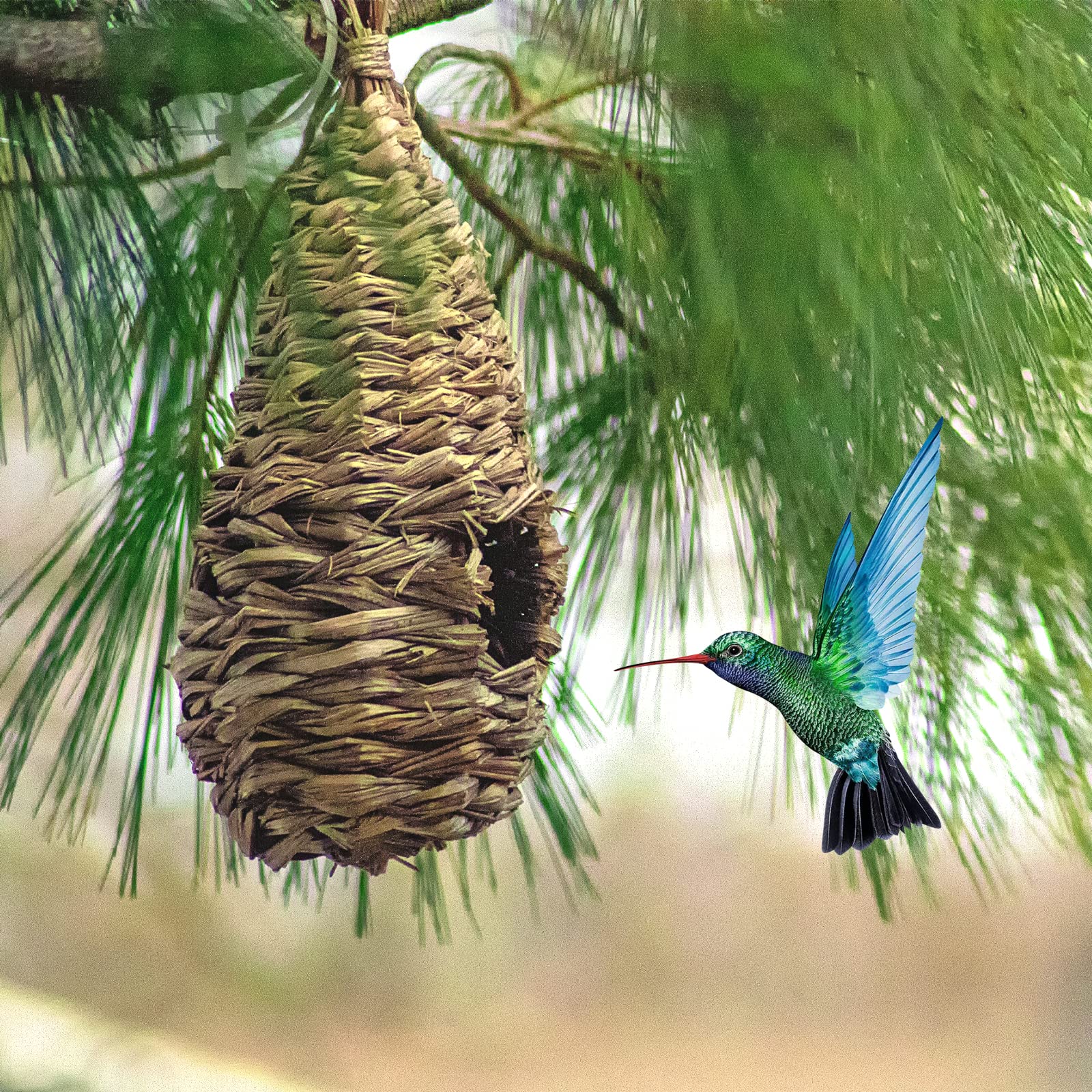 Snapklik.com : Humming Bird Houses For Outside Hanging, Natural Grass ...