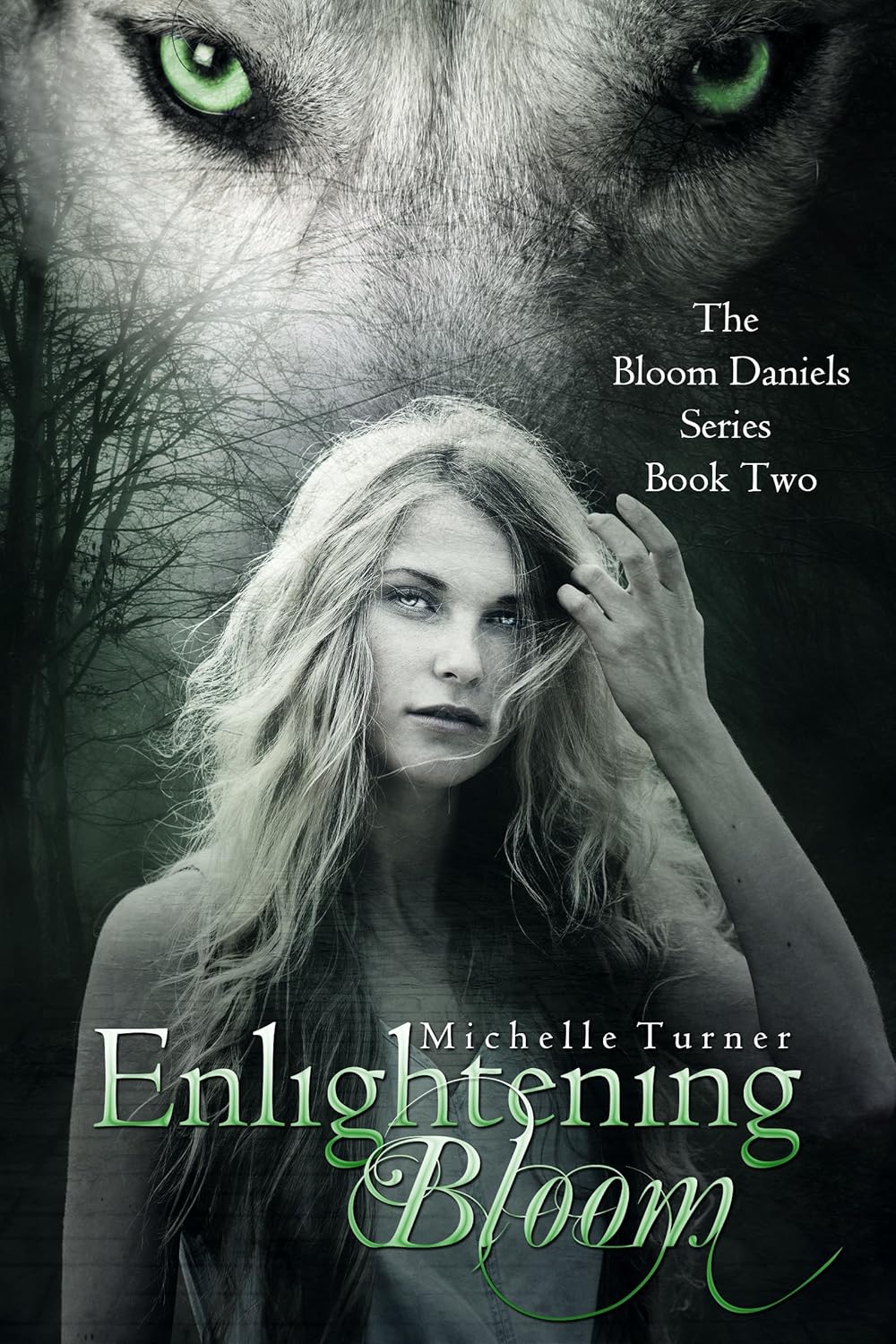 Amazon.com: Enlightening Bloom (Bloom Daniels Series Book 2) eBook ...