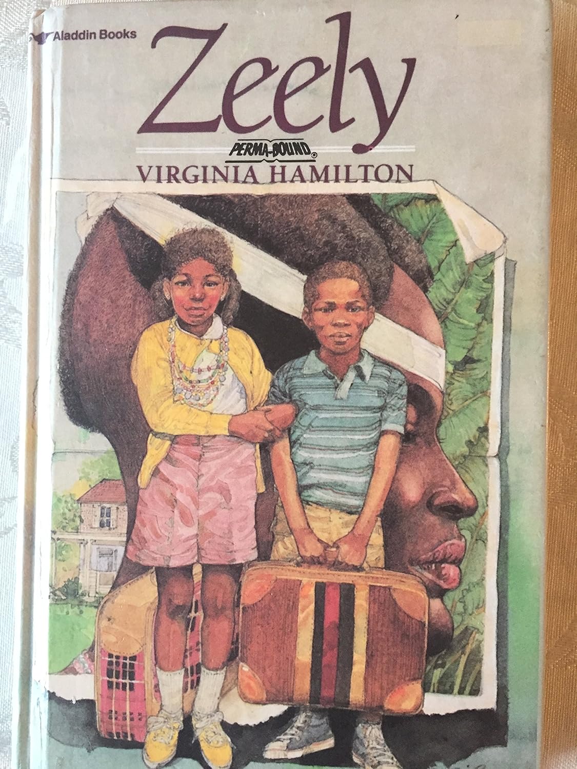 Zeely: Symeon Shimin Virginia Hamilton: 9780756968106: Amazon.com: Books