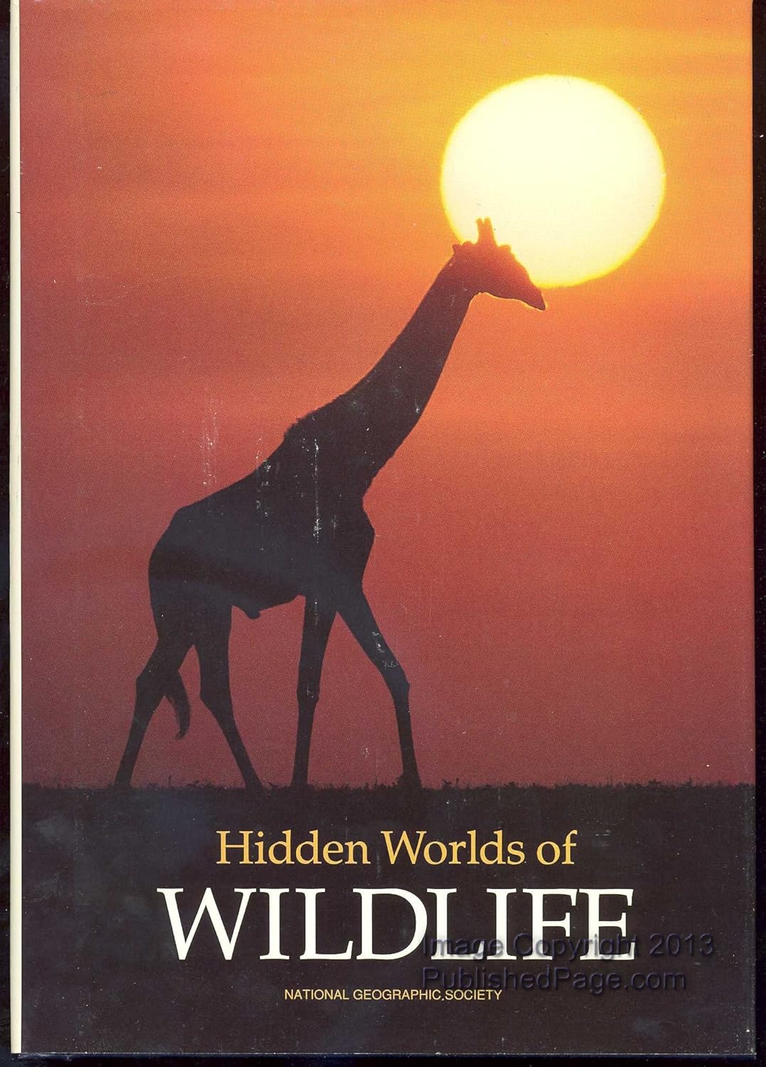 Amazon | Hidden Worlds of Wildlife | National Geographic Society (U. S ...