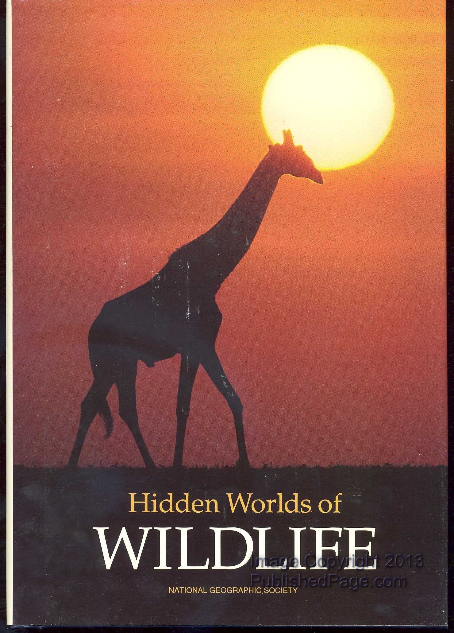 Hidden Worlds of Wildlife: Christine Eckstrom, Ron Fisher, Kim Heacox ...