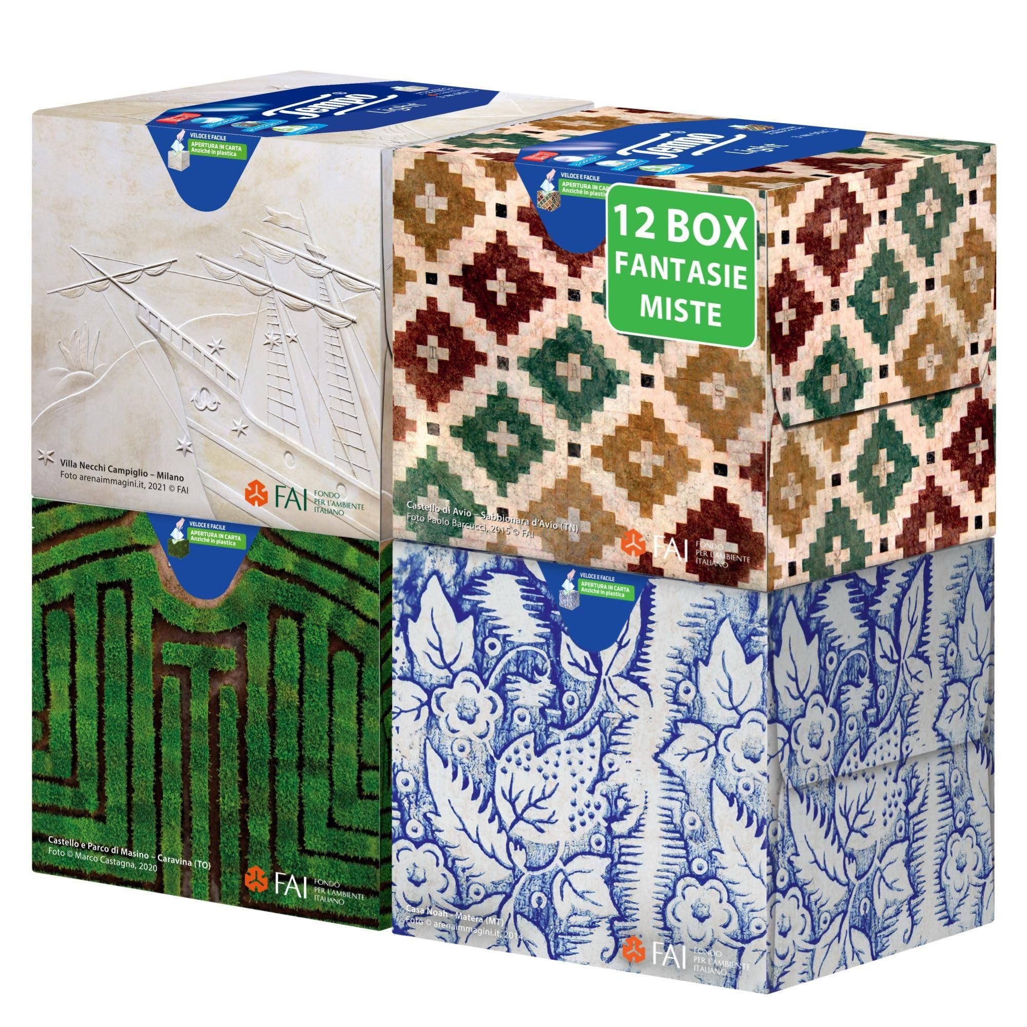 Tempo Fazzoletti Box Light- 3 Veli - 12 Confezioni da 60 Fazzoletti in ...