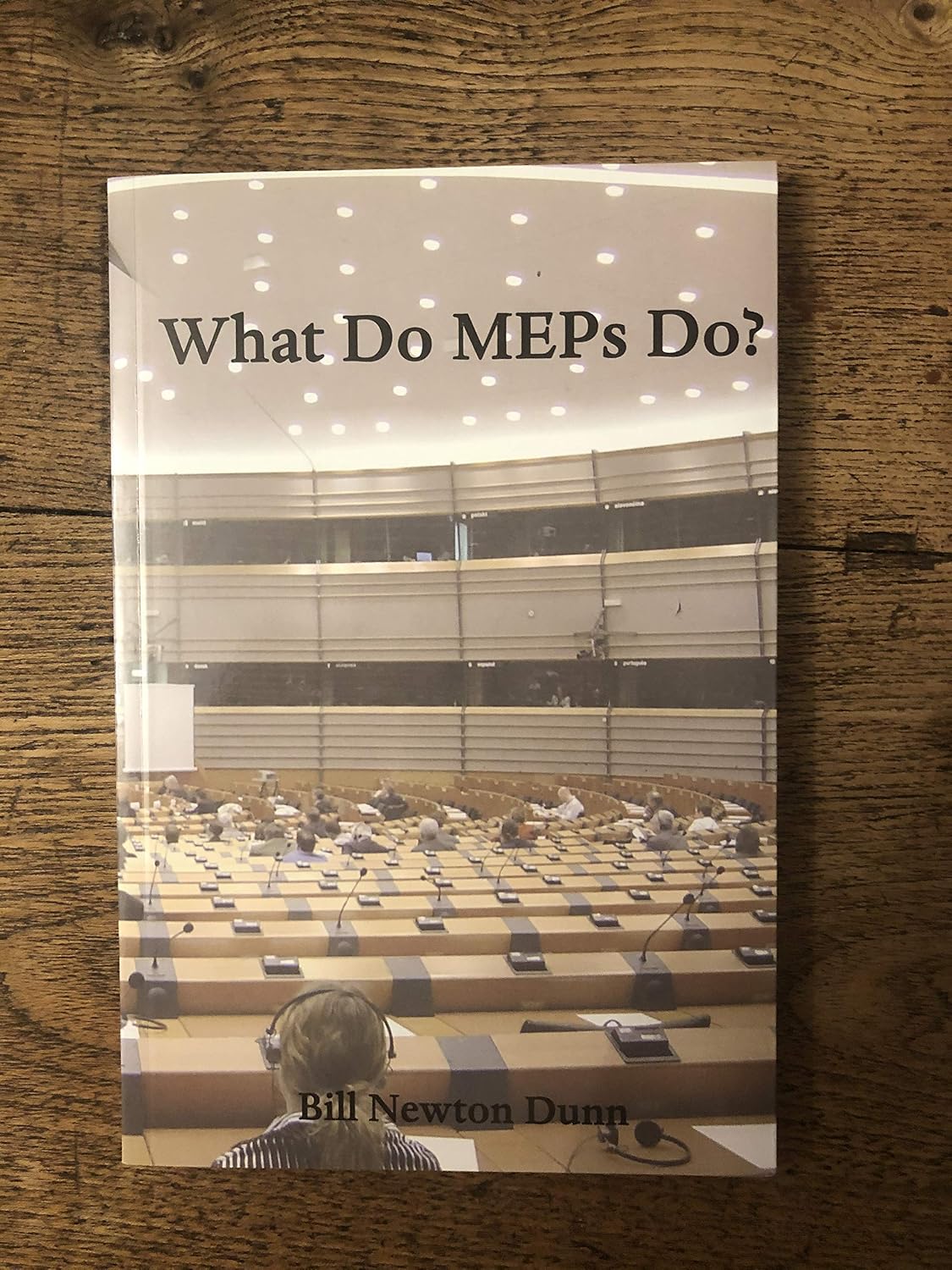 What Do MEPs Do ?: MEPs from 17 Countries Write About the 7th European ...