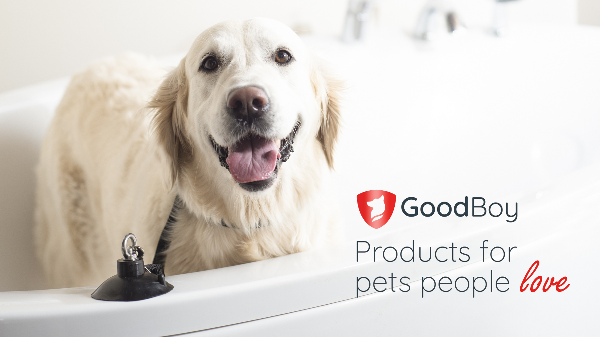 Watch Dog Bathing Tether with Suction Cup Shower and Grooming on Amazon ...