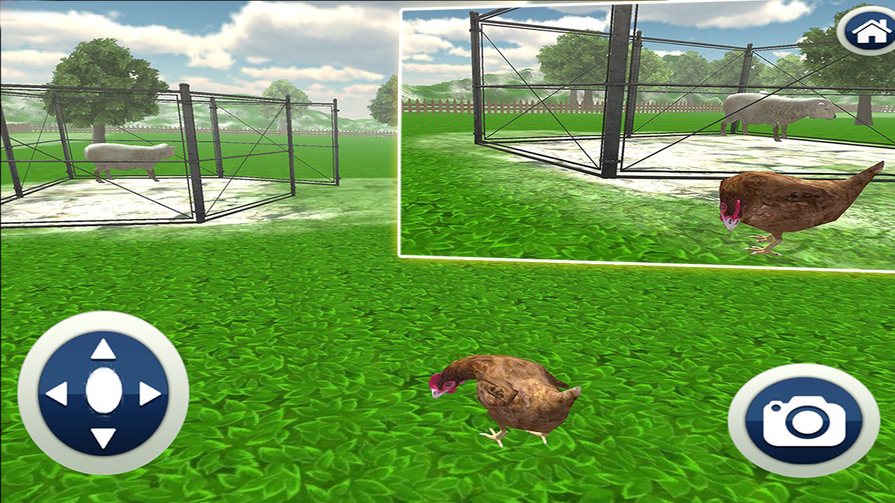 Crazy Chicken Simulator 3D - App on Amazon Appstore