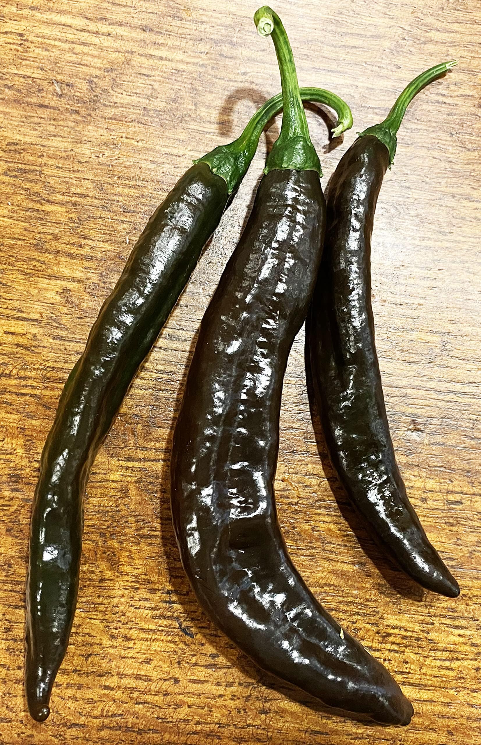 Amazon.com : Sandia Select NuMex Pepper Seeds - Green Chile with Superb ...