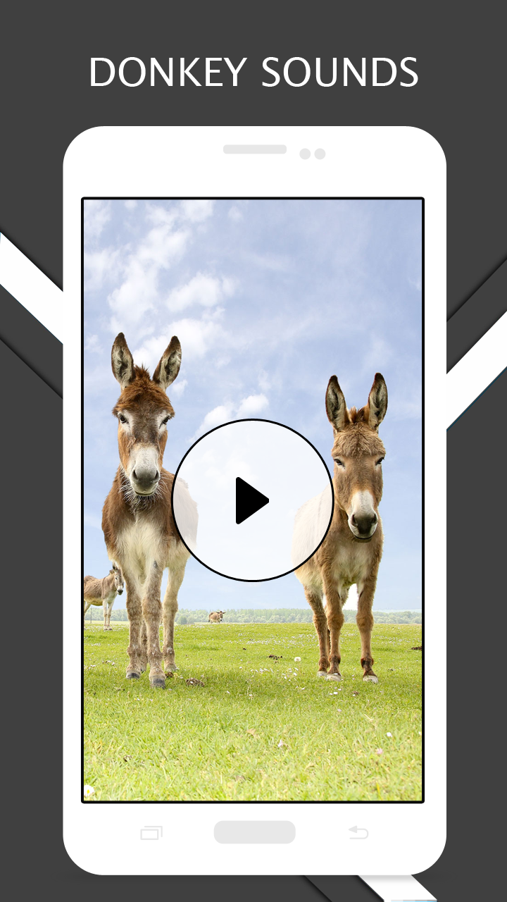 Donkey Sounds - App on Amazon Appstore