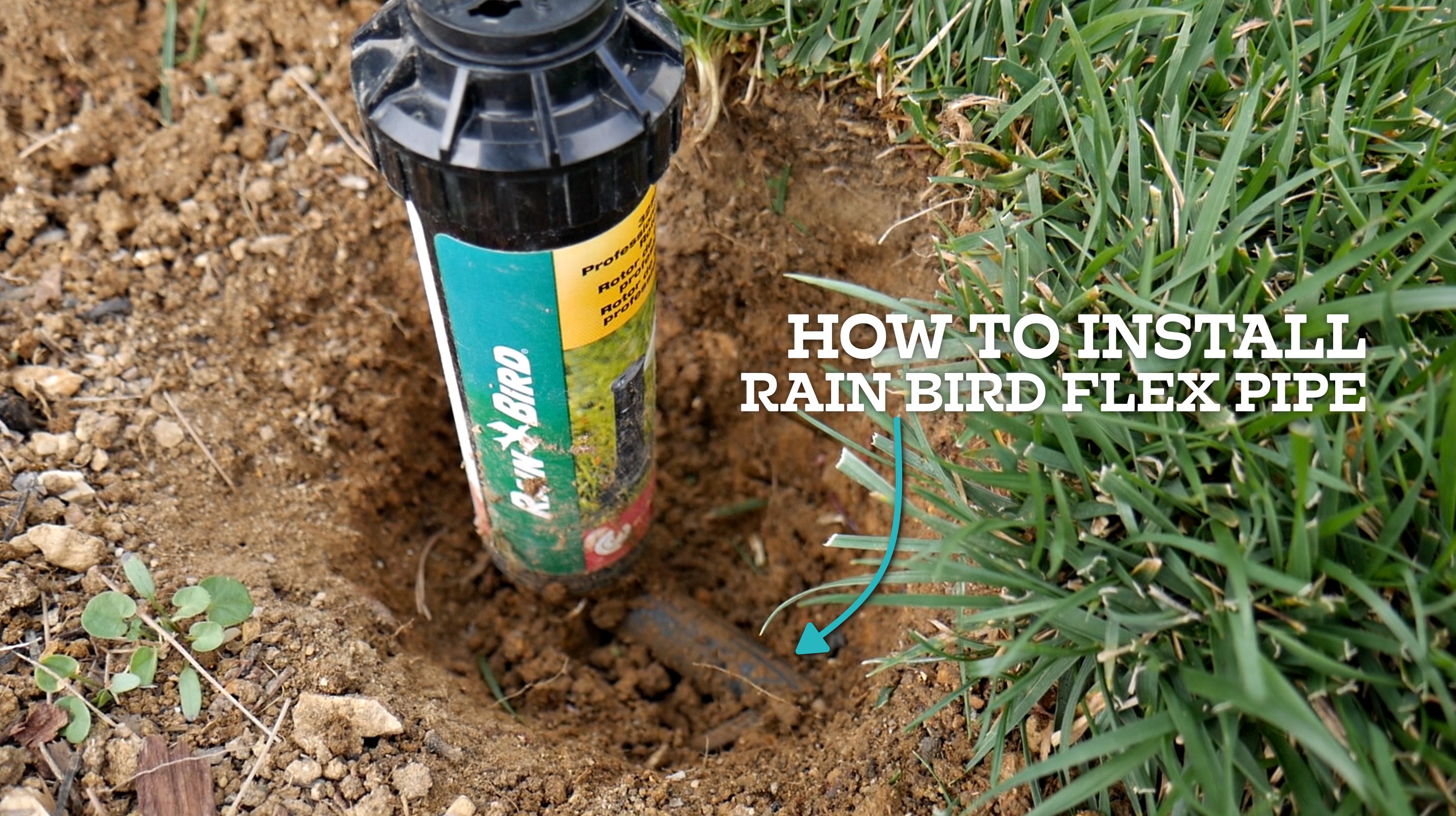 Watch How to install Rain Bird Flexible Sprinkler Swing Pipe on Amazon Live