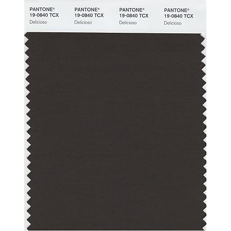 Amazon.com: Pantone 19-4008 TCX Smart Color Swatch Card, Meteorite ...