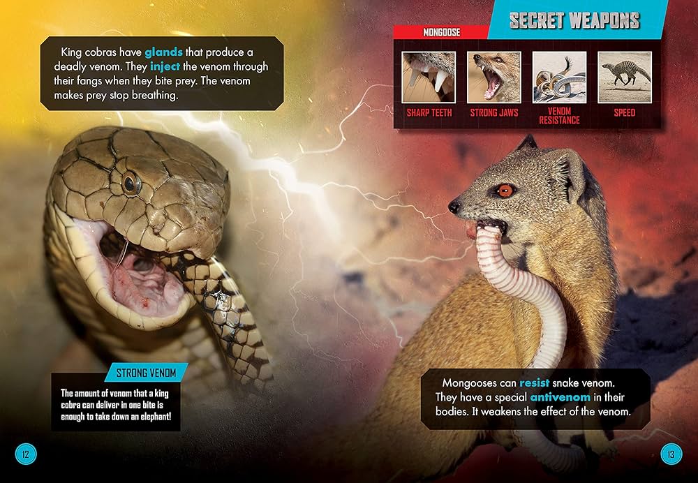 Anaconda Vs King Cobra