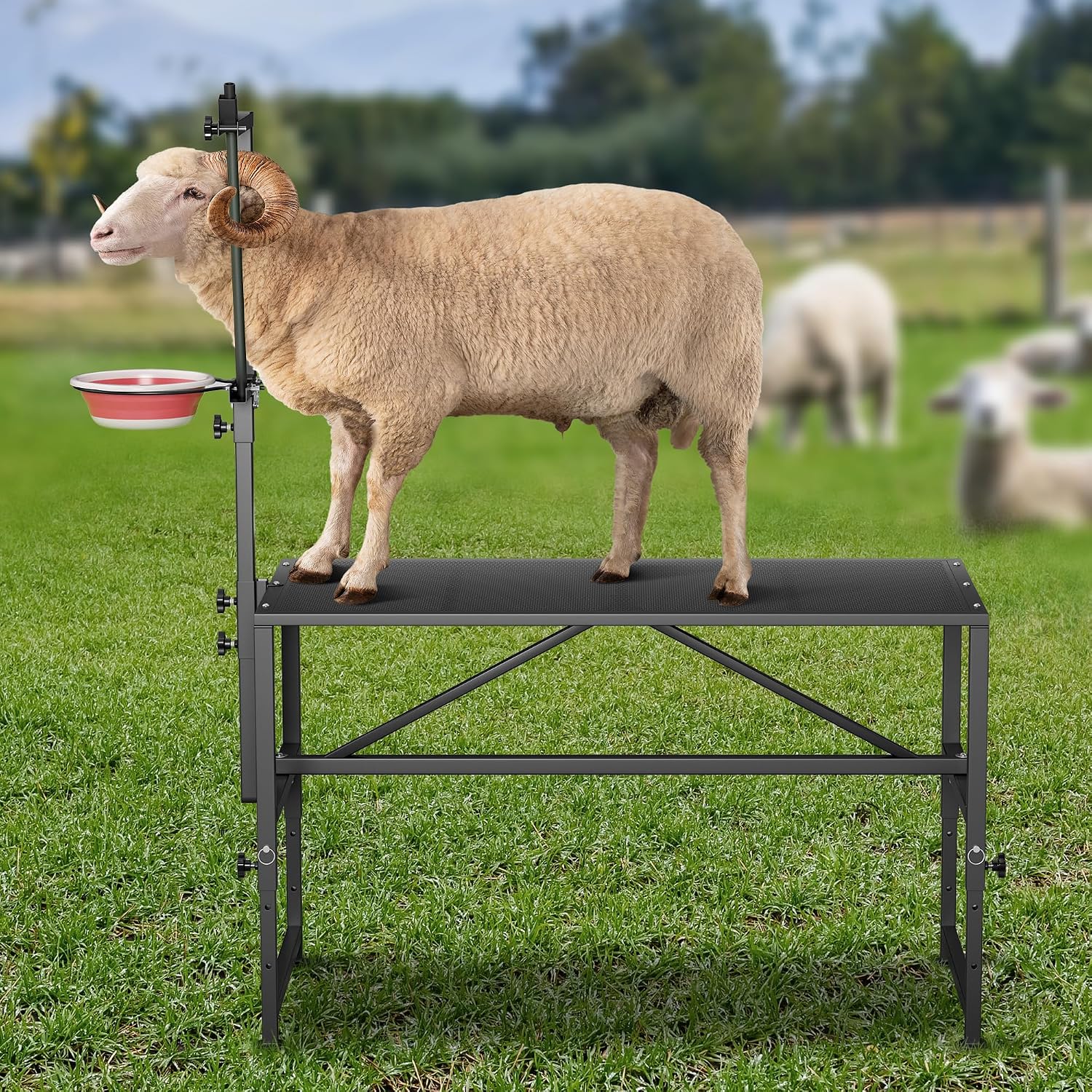 Amazon.com : Goat Stand for Milking with Feed Bin, 47x23 inch Metal ...