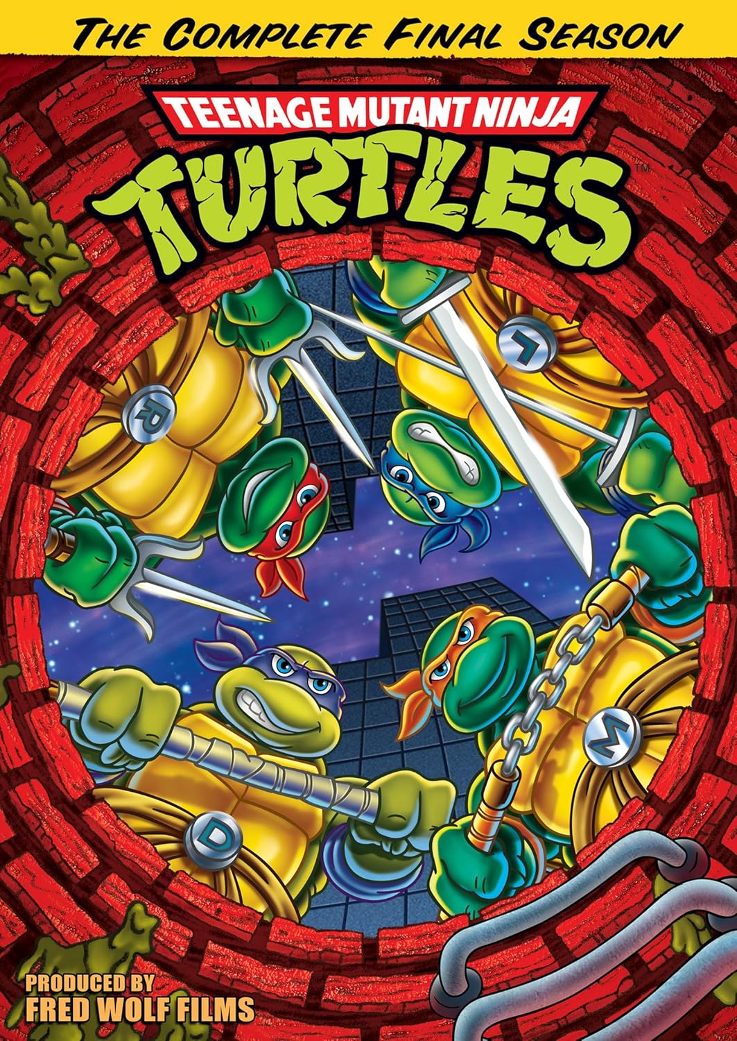 Teenage Mutant Ninja Turtles Season 10: Complete [Importado] : Sam ...