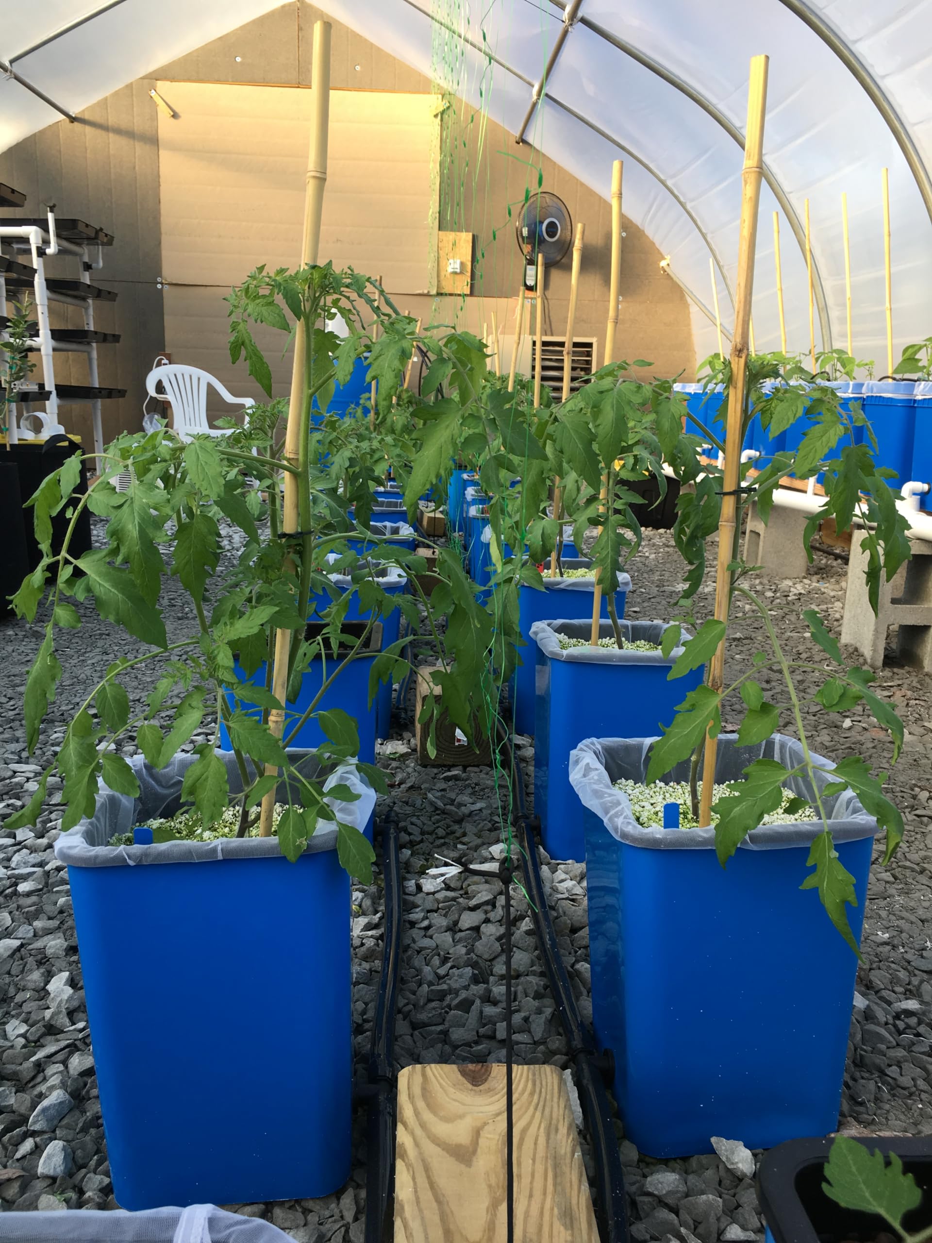 Diy Dutch Bucket System