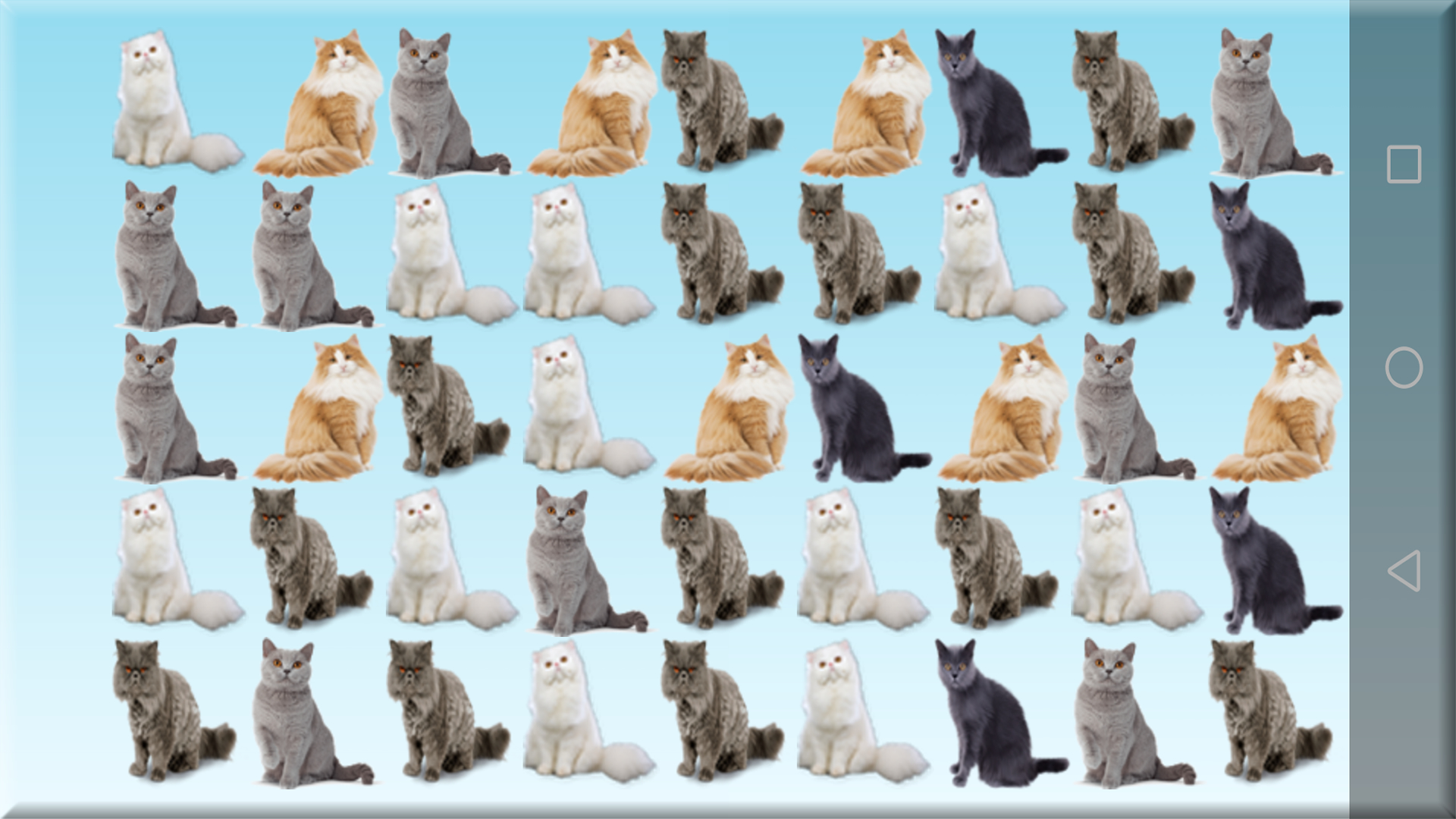 Cat Match - App on Amazon Appstore