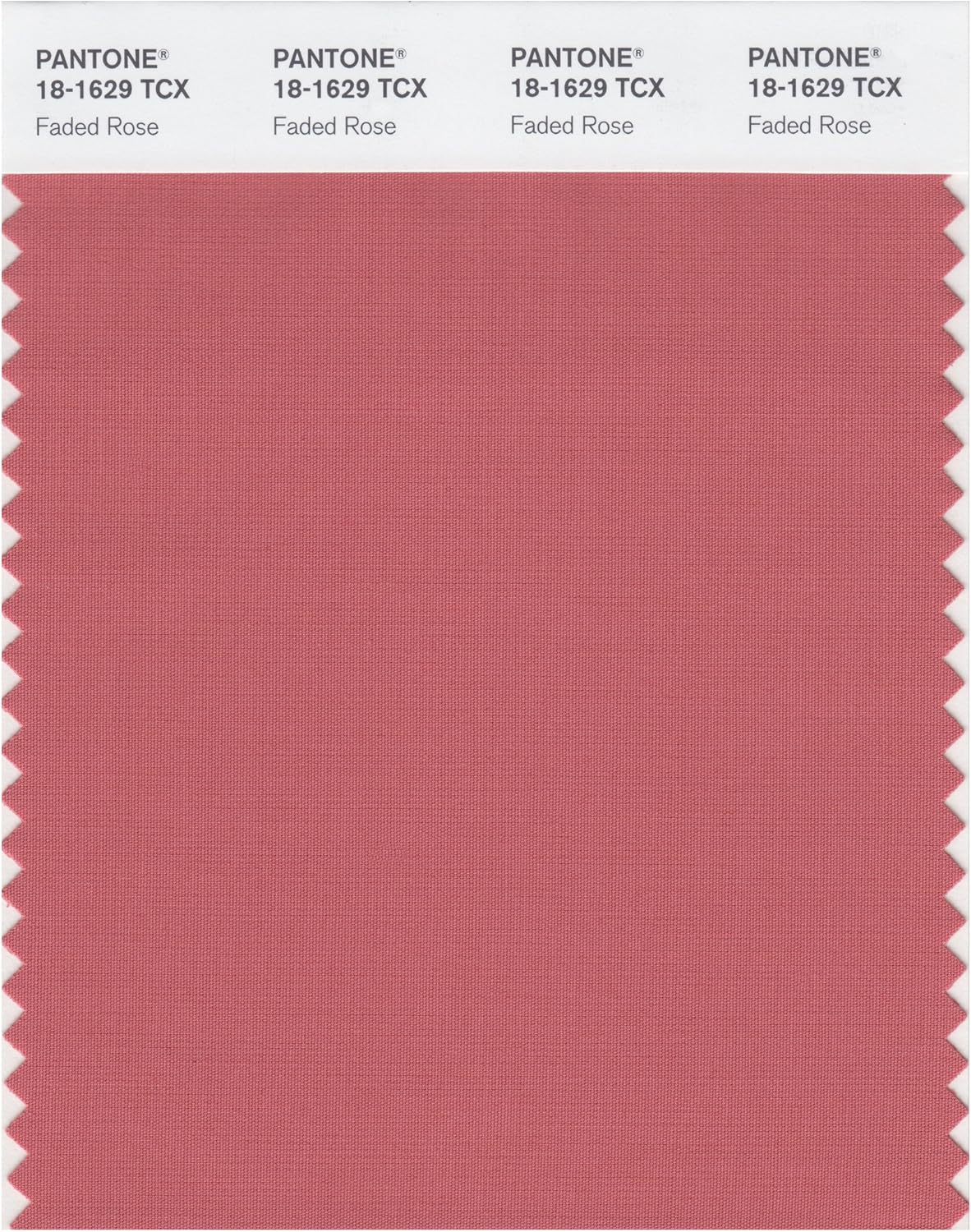 PANTONE Smart 18-1629X Color Swatch Card, Faded Rose - Wall Decor ...