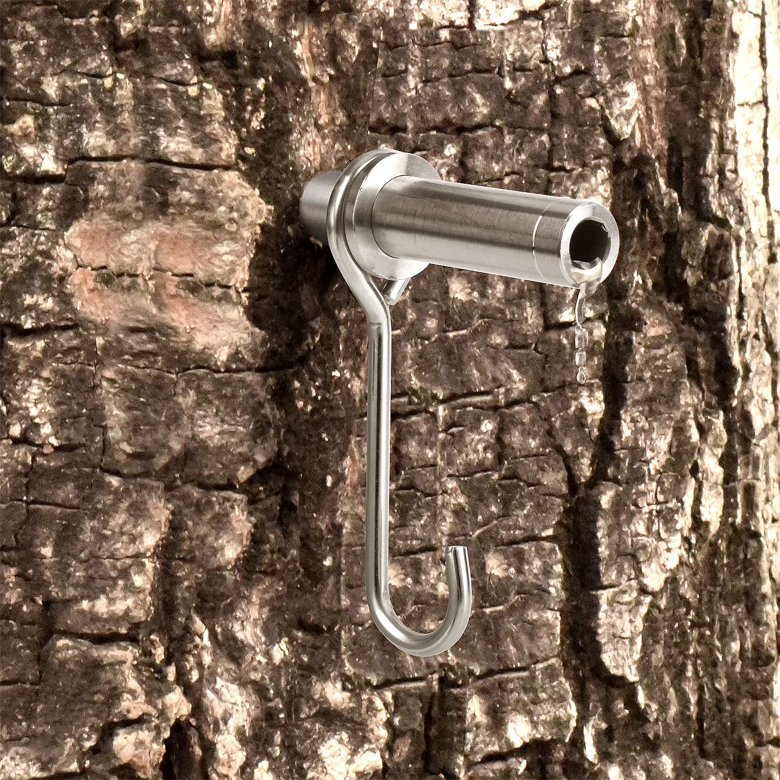 Snapklik.com : Maple Syrup Tapping Kit, Stainless Steel Maple Tree Taps ...
