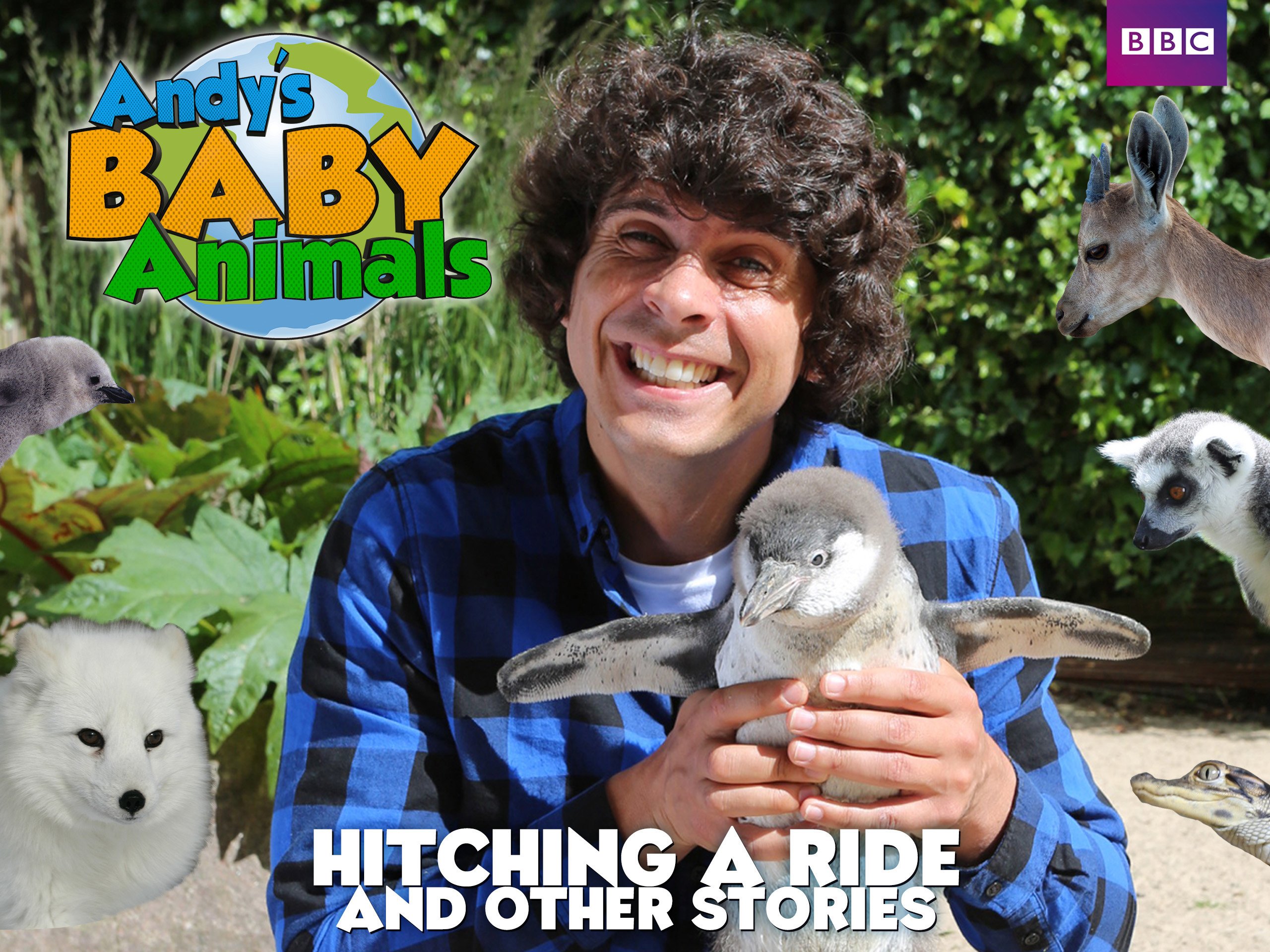 Watch Andy's Baby Animals: Hitching a Ride and Other Stories | Prime Video