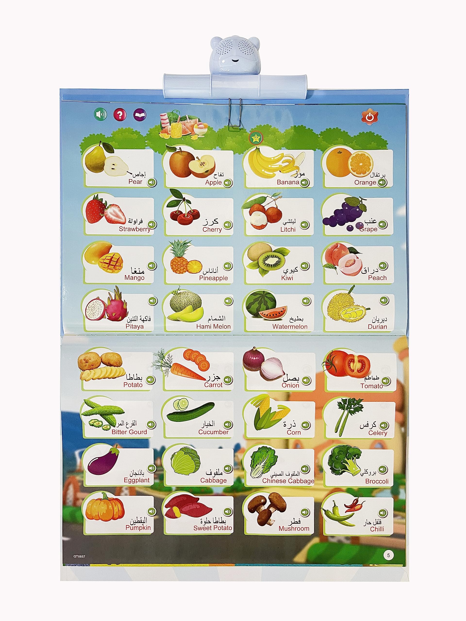 Snapklik.com : Arabic -English Alphabet Poster For Kids, Learn Arabic ...