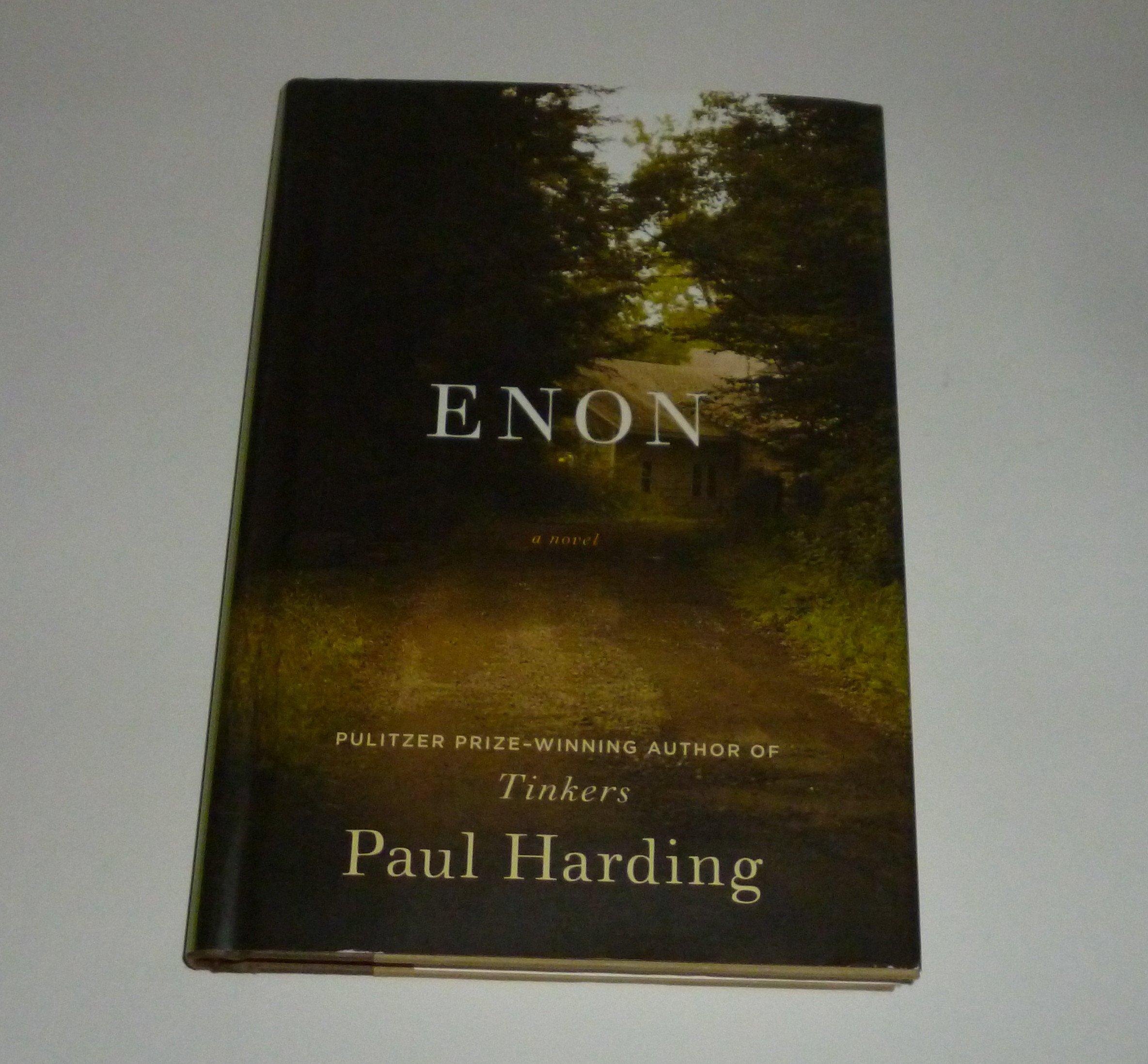 Enon: A Novel (ALA Notable Books for Adults): Harding, Paul ...
