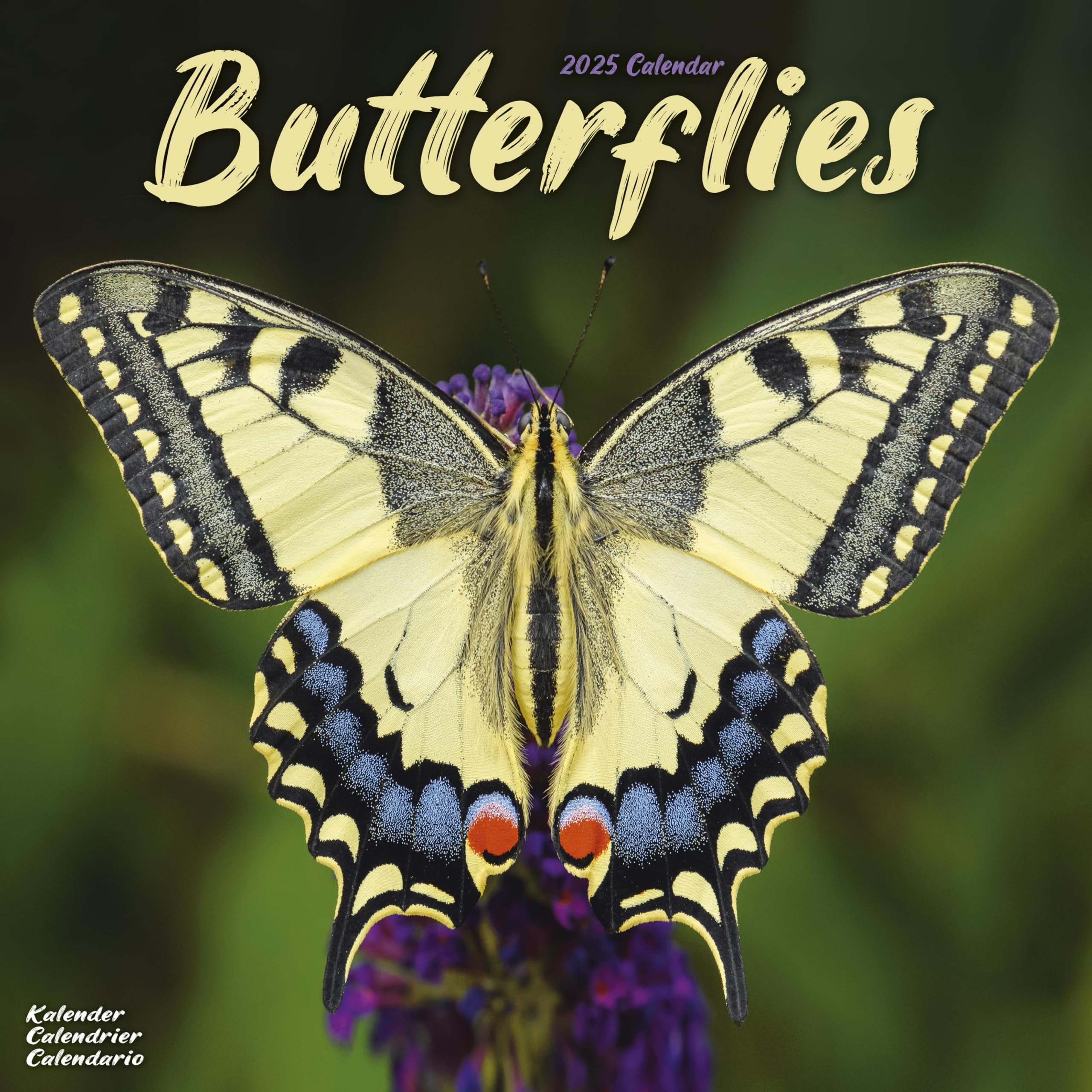 Amazon.com: 2025 Butterflies Wall Calendar, 12X12, Avonside Publishing ...
