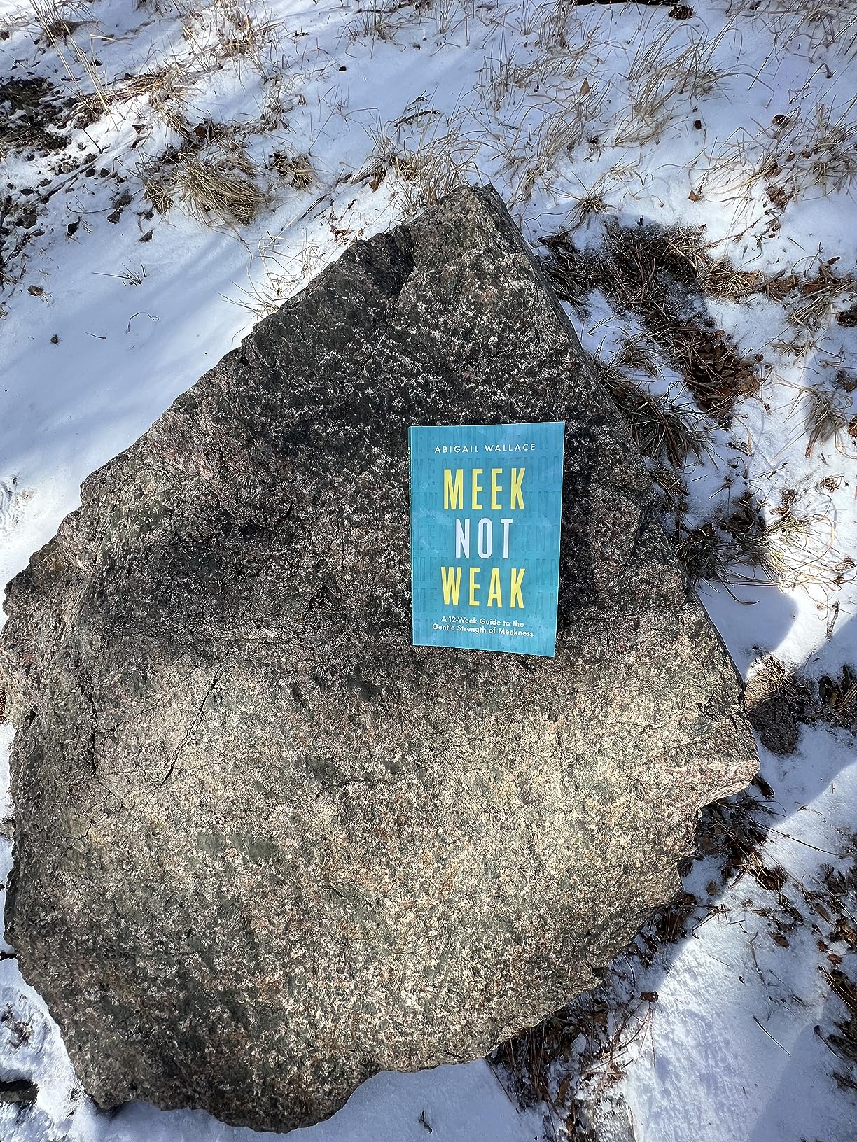 Meek Not Weak: A 12-Week Guide to the Gentle Strength of Meekness ...