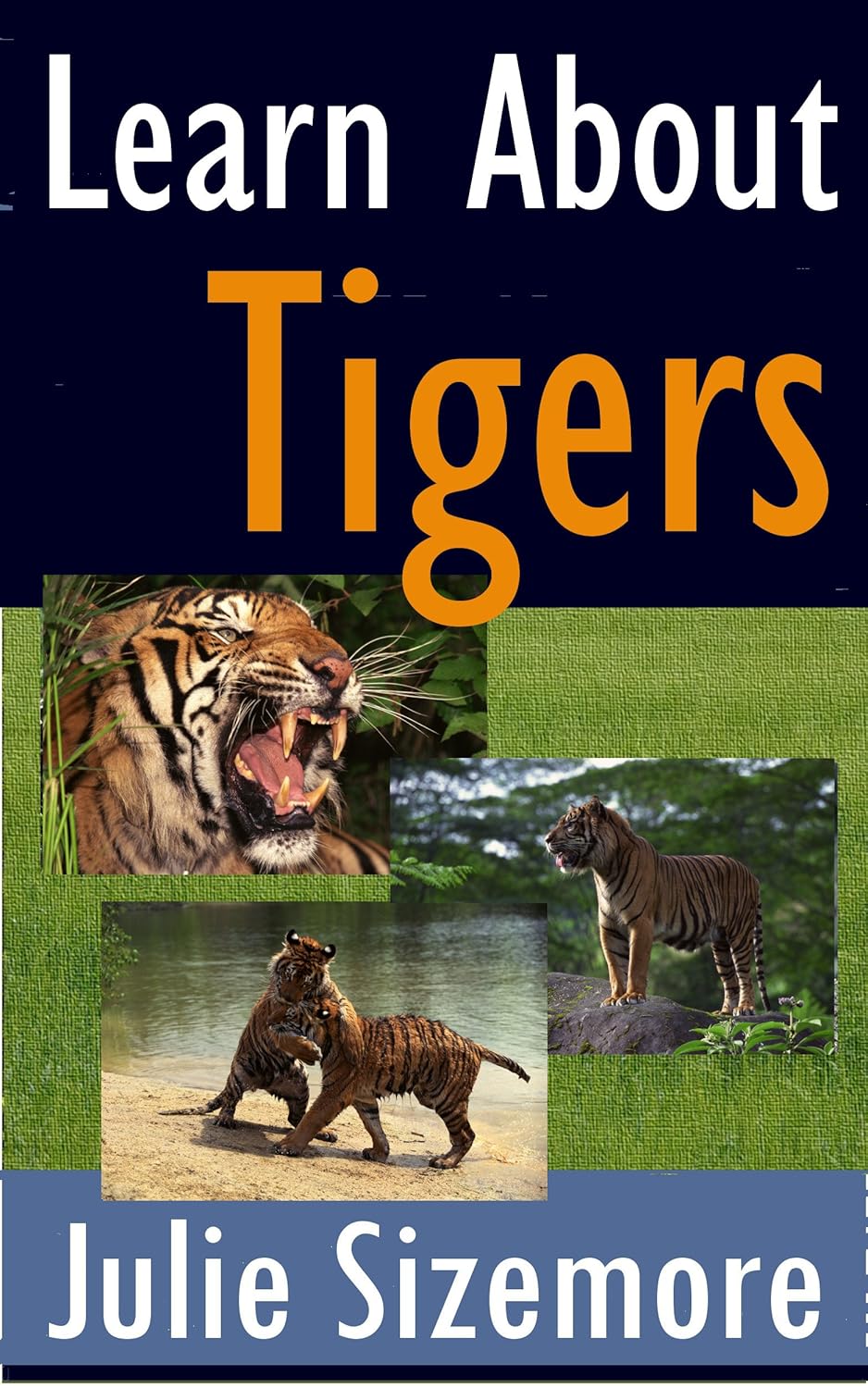 Learn About Tigers (Science Kids) - Kindle edition by Sizemore, Julie ...