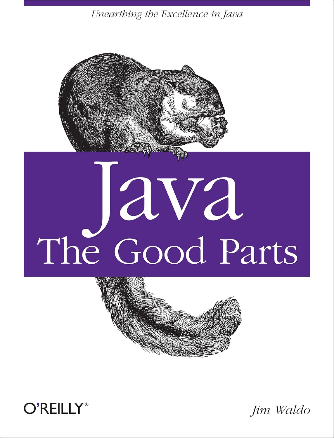 Java: The Good Parts: Unearthing the Excellence in Java: Waldo, Jim ...