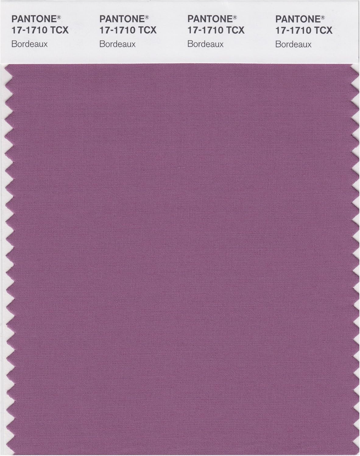 Pantone Smart Farbe Swatch Karte bordeaux : Amazon.de: Baumarkt