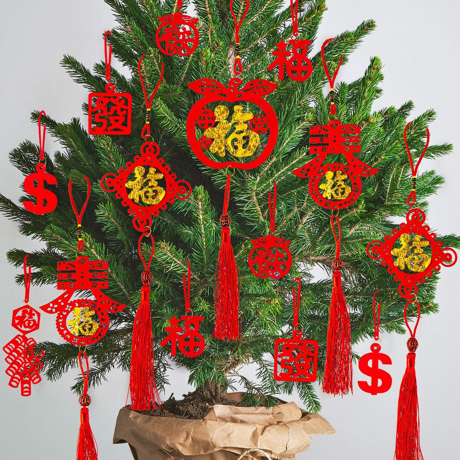 Amazon.com: 12Pcs Chinese New Year Decorations Ornaments, Year of The ...
