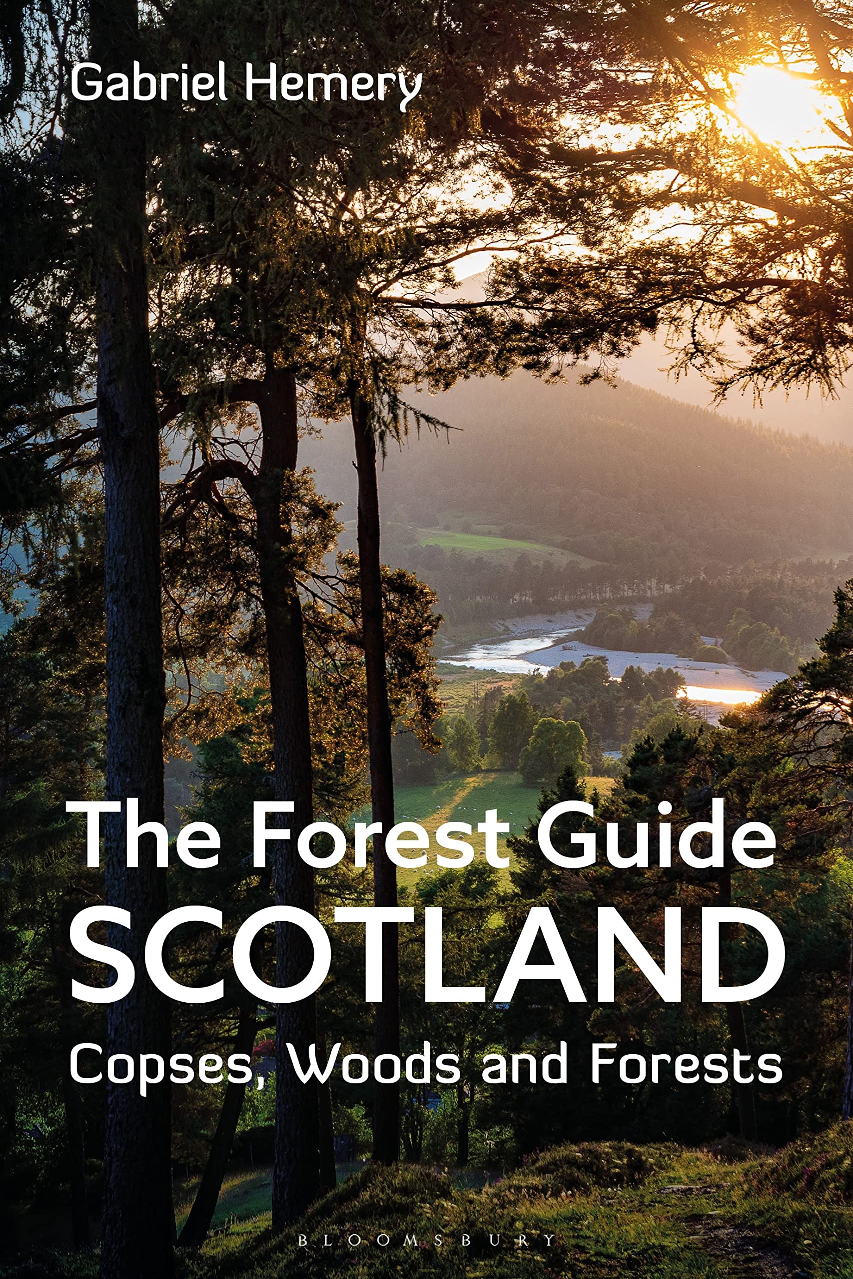 The Forest Guide: Scotland: Copses, Woods and Forests of Scotland ...