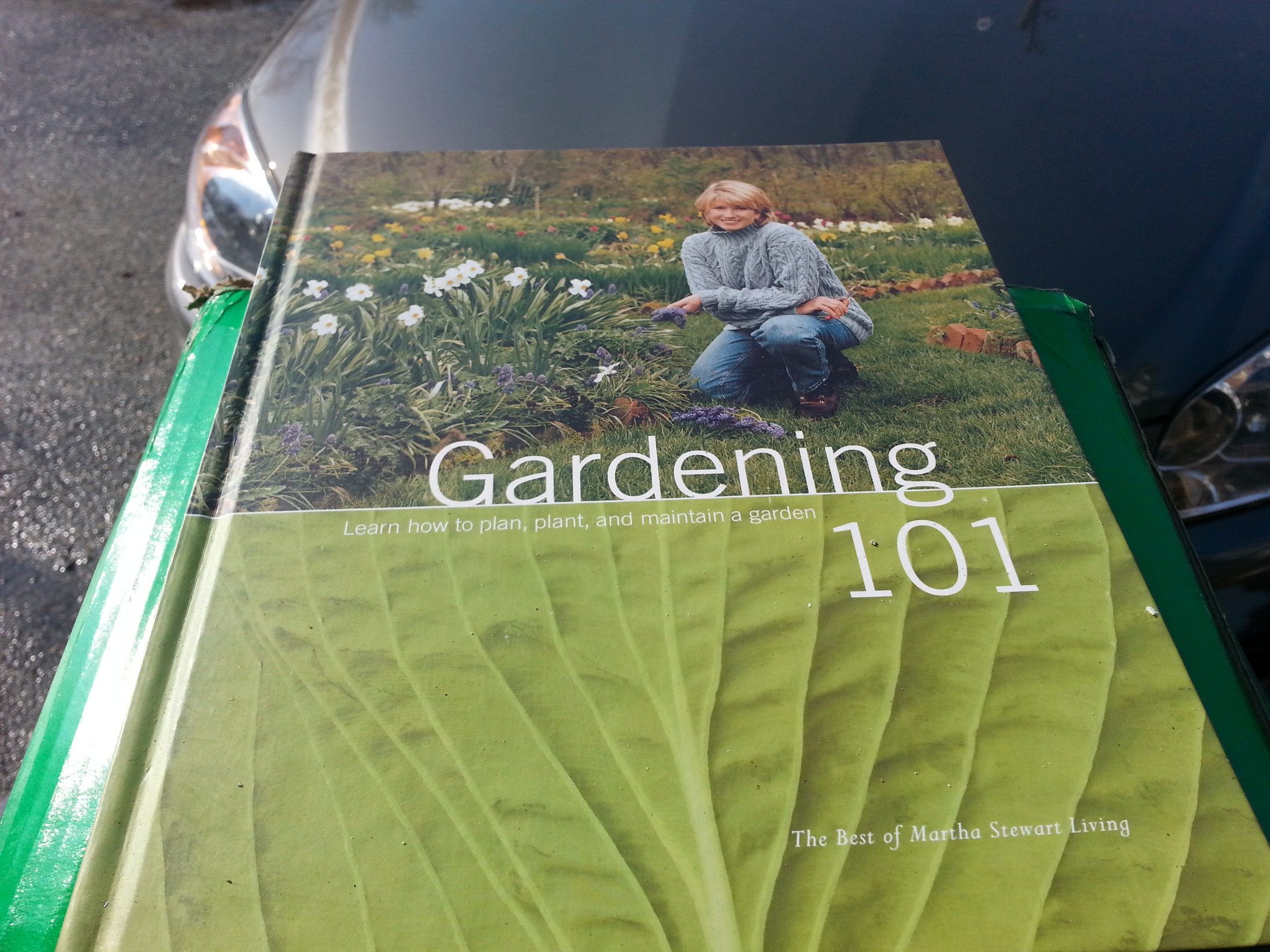 Gardening 101: Amazon.co.uk: Gardening 101: Learn how to Plan Plant and ...
