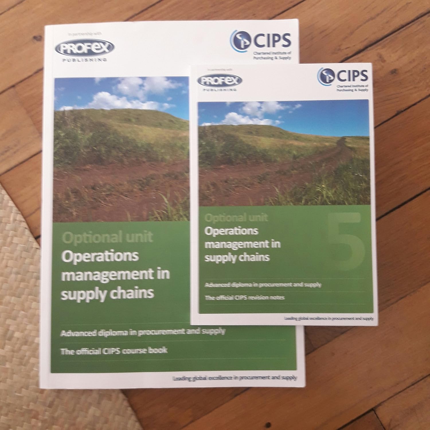 OPTION: Operations Management in Supply Chains: Profex Ltd ...