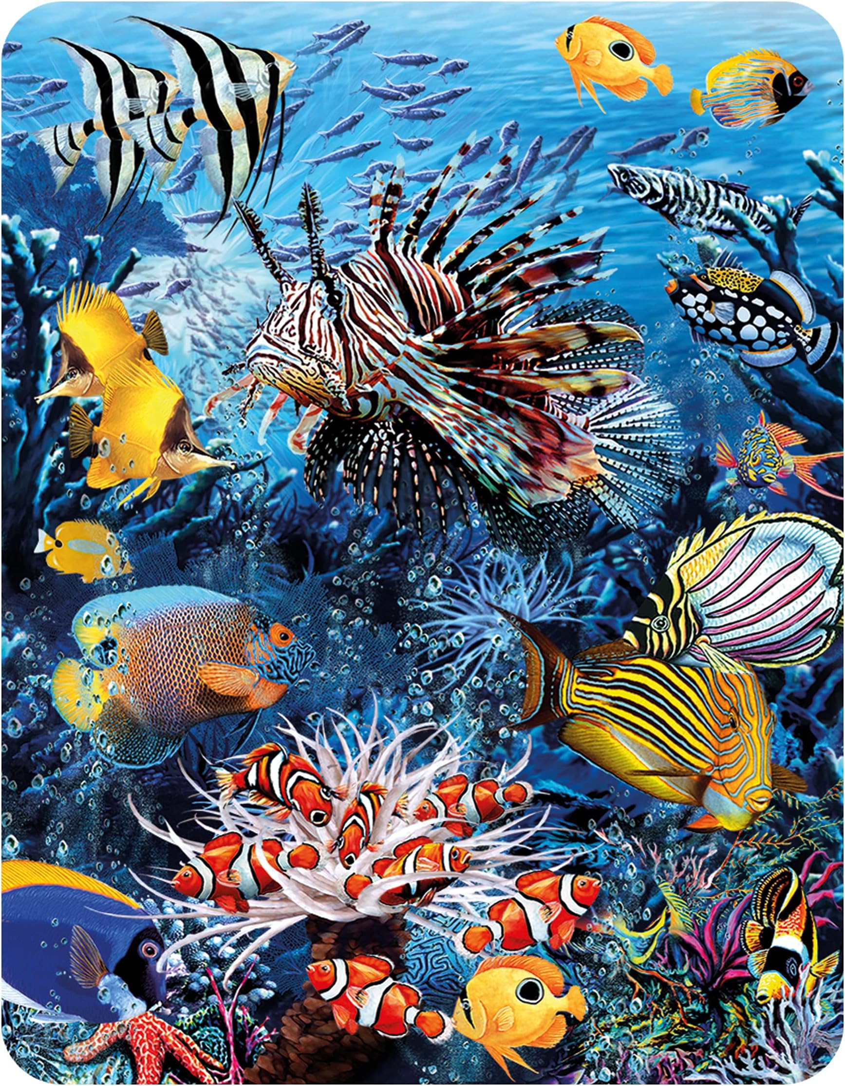 Amazon.com: 3D LiveLife Magnet - Wonders of The Reef from Deluxebase ...