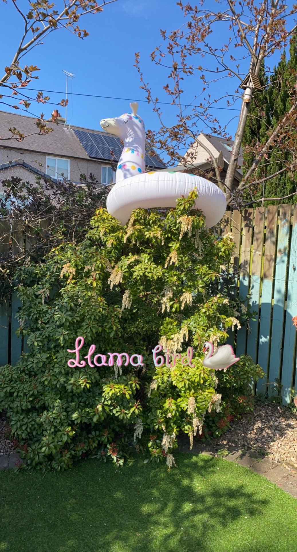 36" Jumbo Inflatable Llama Alpaca Swim Ring Summer Beach Pool Float ...