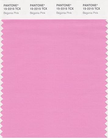 PANTONE SMART 15-2215X Color Swatch Card, Begonia Pink - House Paint ...