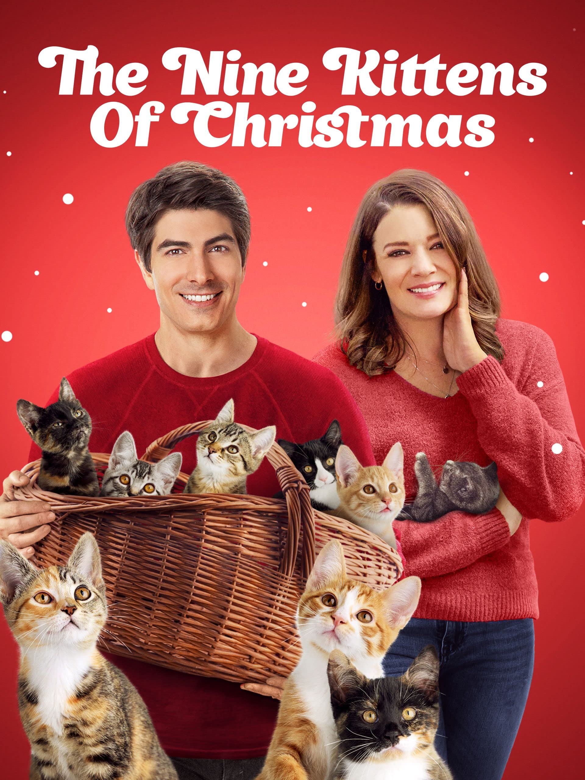 Watch The Nine Kittens of Christmas | Prime Video