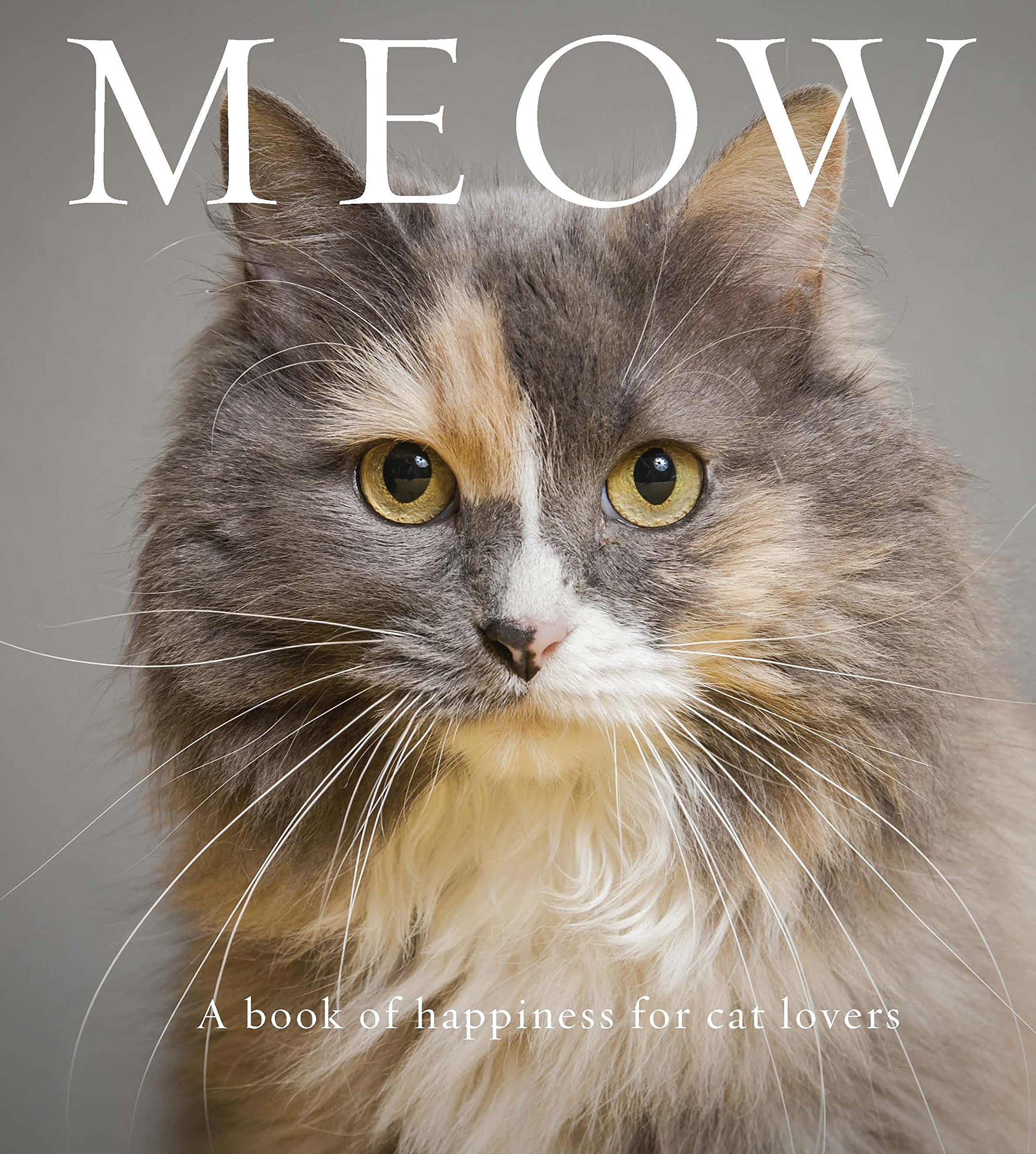 Amazon.com: Meow: A Book of Happiness for Cat Lovers (Animal Happiness ...