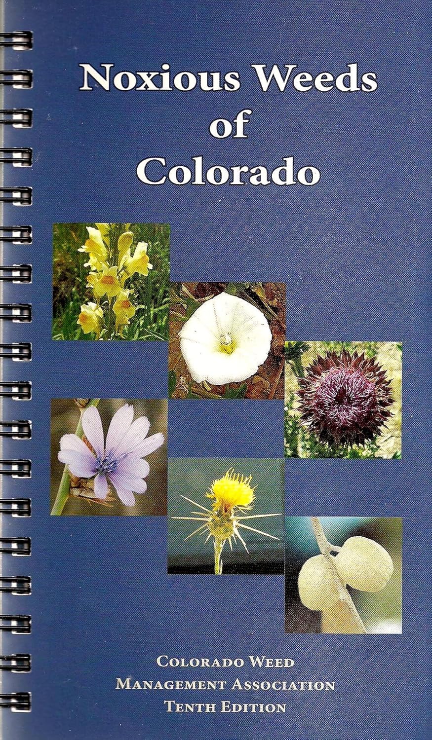 Noxious Weeds of Colorado (10th Edition): Colorado Weed Management ...