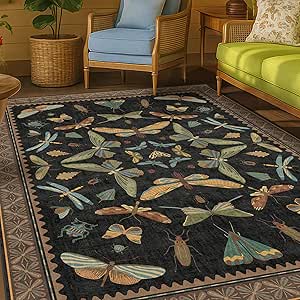 Amazon.com: Washable 5x7 Black Rug for Living Room - Foyer Rugs for ...