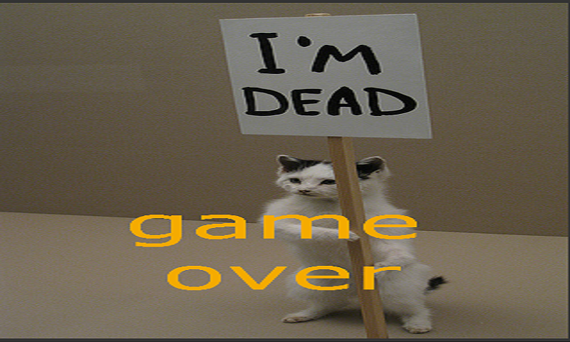 kitty keeper - App on Amazon Appstore